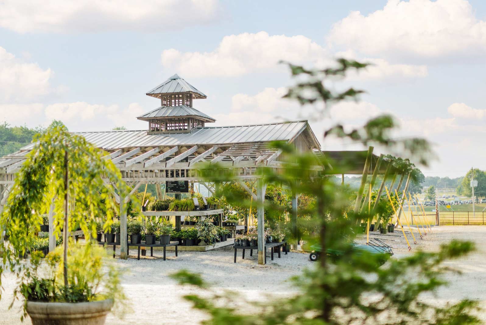 Resources – Lichtenfelt's