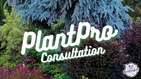 Resources Landing Page | Lichtenfelt's