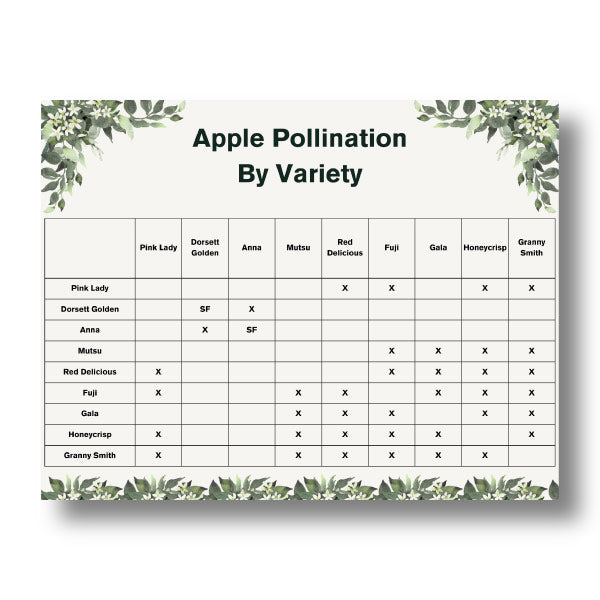 Resources – Lichtenfelt's