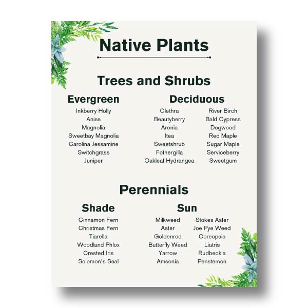 Resources – Lichtenfelt's