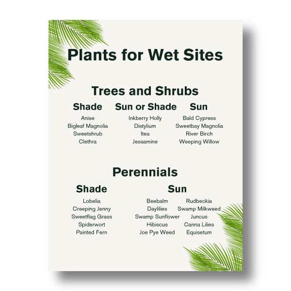 Resources – Lichtenfelt's